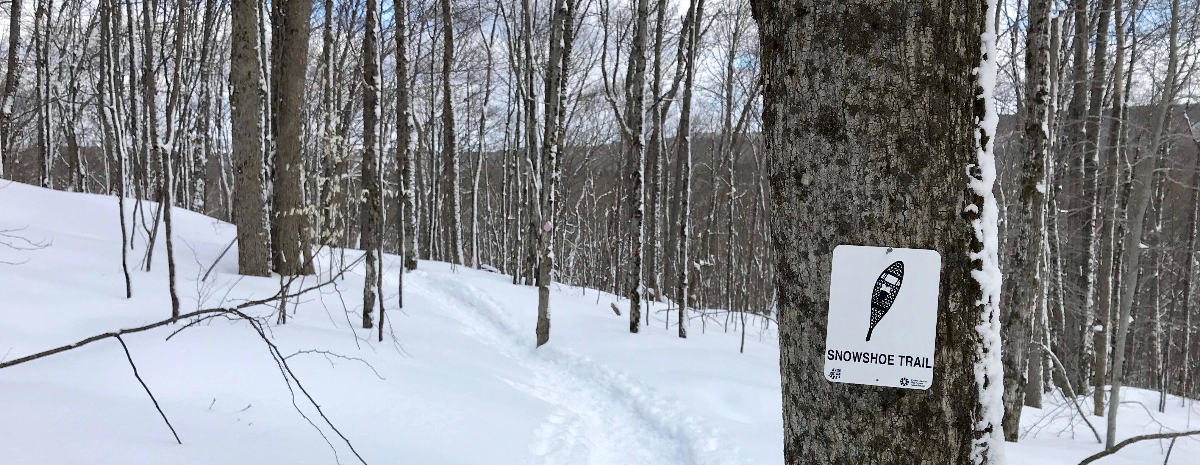 Snowshoeing in Arrowhead Provincial Park - Wandering Canadians