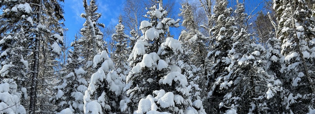 Windy Lake Provincial Park in the Winter - Wandering Canadians